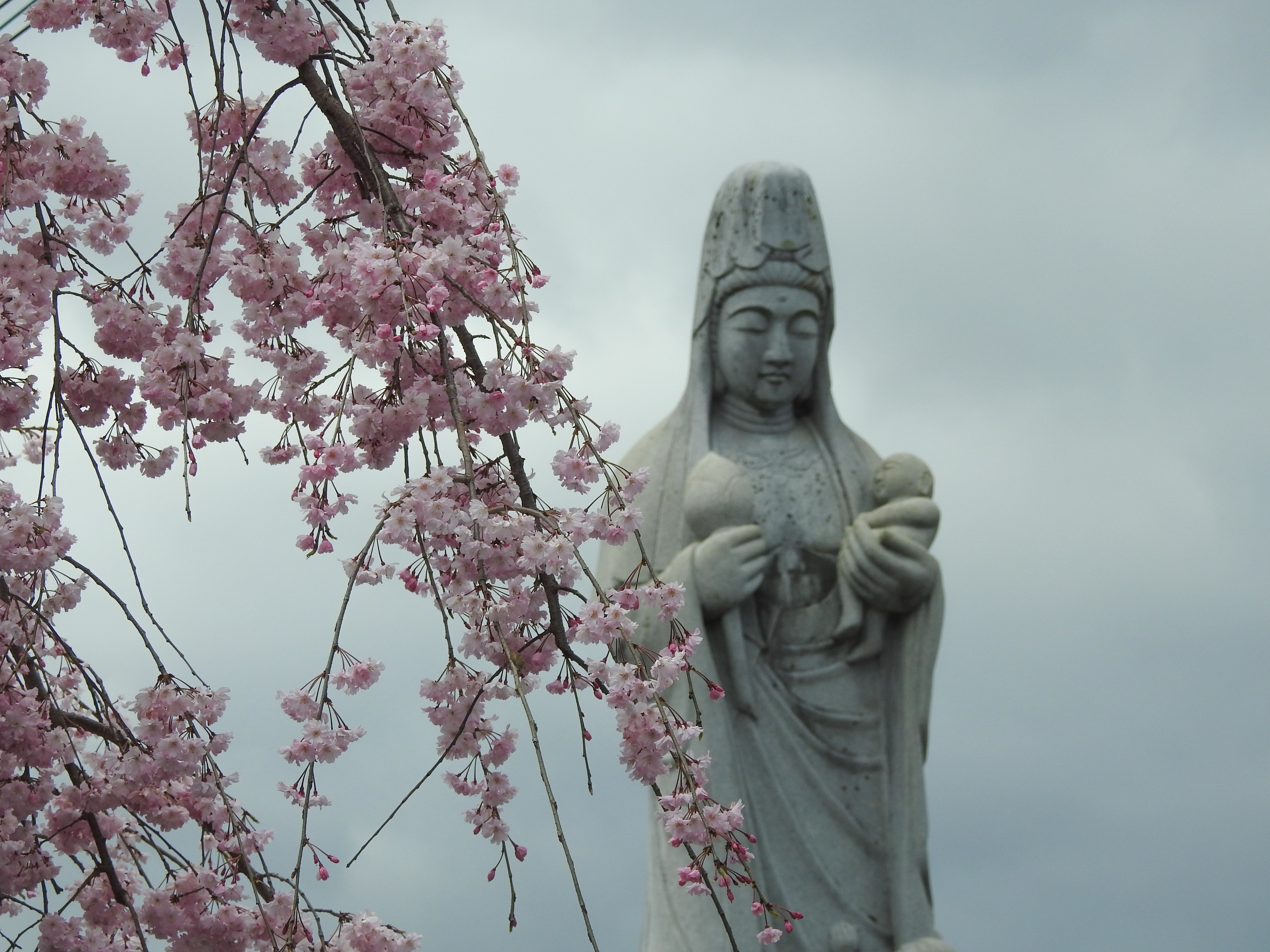 Your day in Kyoto - Custom tour – Kyoto Private guide - Yamatora Tours